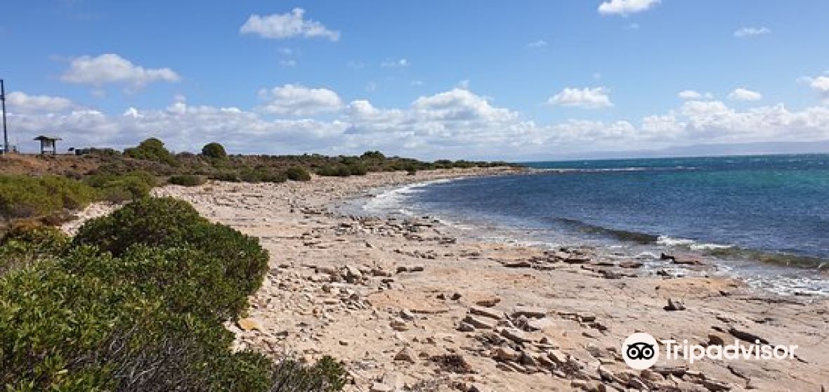 Point Lowly Travel Guide 2023 - Things to Do, What To Eat & Tips | Trip.com