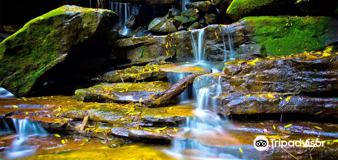 【2023Kariong自由行】Kariong旅遊攻略：熱門推薦Kariong景點門票、飯店與必吃美食 - Trip.com