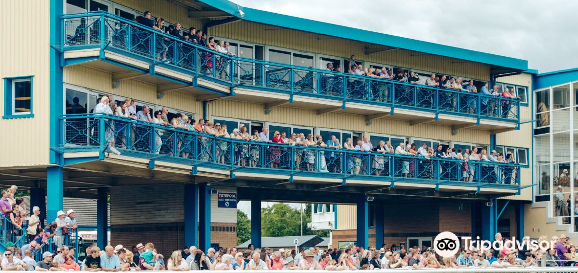 Kingsteignton Travel Guide 2023 - Things to Do, What To Eat & Tips ...