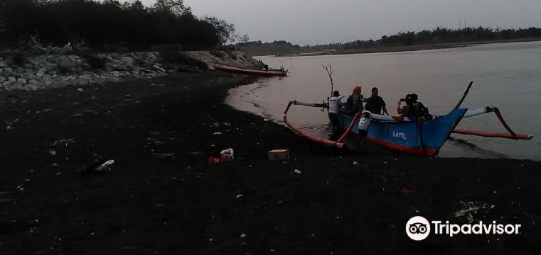 กิจกรรมน่าทำยอดนิยมในPugerประจำปี 2022 - คู่มือท่องเที่ยวPuger - แนะนำ ...