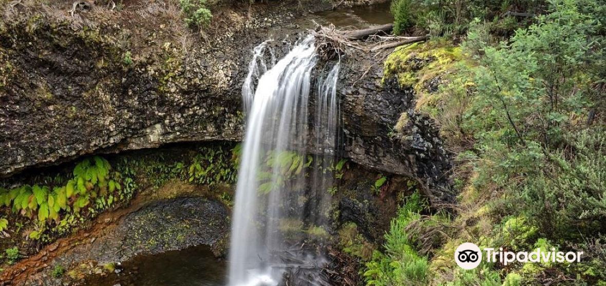 Tarraleah Travel Guide 2023 - Things to Do, What To Eat & Tips | Trip.com