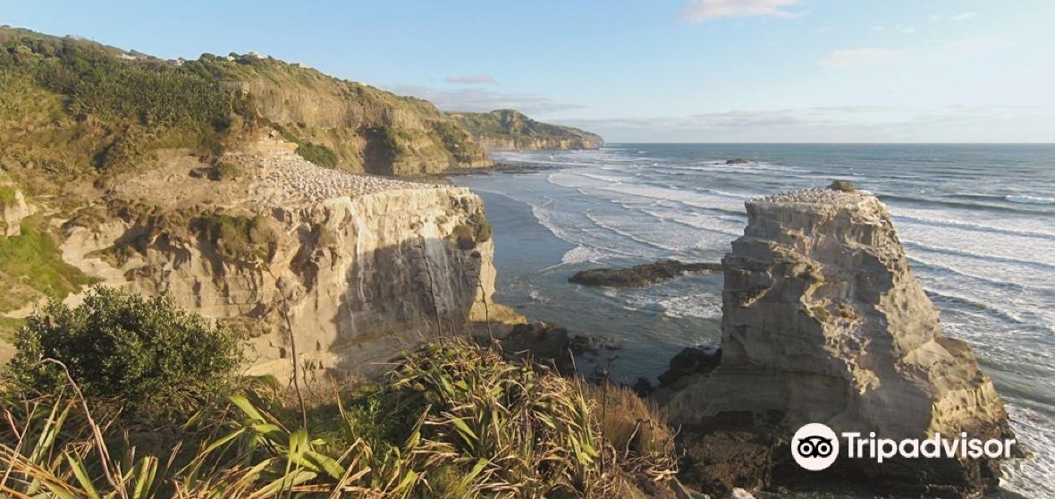 กิจกรรมน่าทำยอดนิยมในWestmereประจำปี 2023 - คู่มือท่องเที่ยวWestmere ...