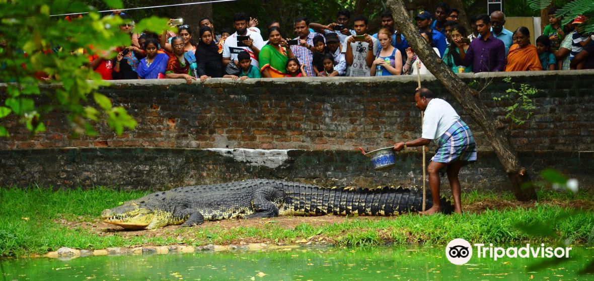 กิจกรรมน่าทำยอดนิยมในPadurประจำปี 2023 - คู่มือท่องเที่ยวPadur - แนะนำ ...