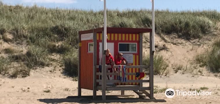 Angelholm 2023 Top Things to Do - Angelholm Travel Guides - Top ...