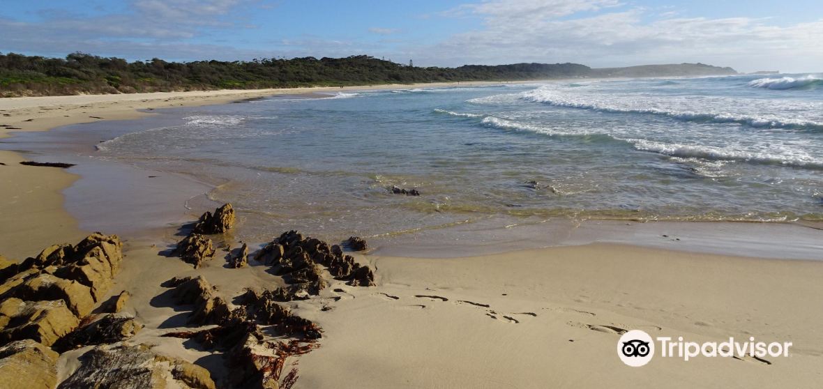 Callala Bay Travel Guide 2023 - Things to Do, What To Eat & Tips | Trip.com