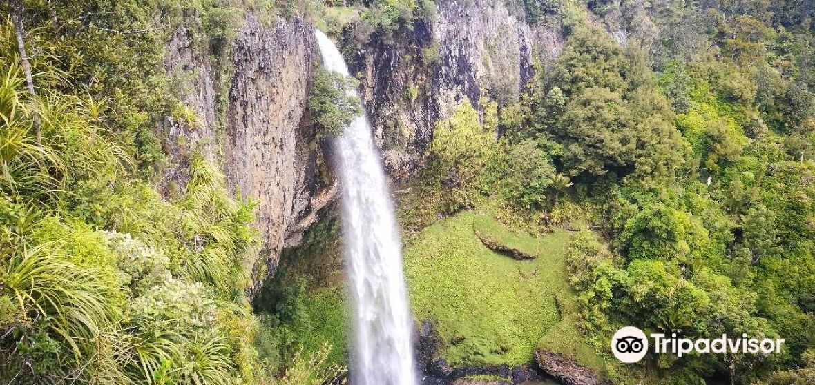 Makomako Travel Guide 2023 - Things to Do, What To Eat & Tips | Trip.com