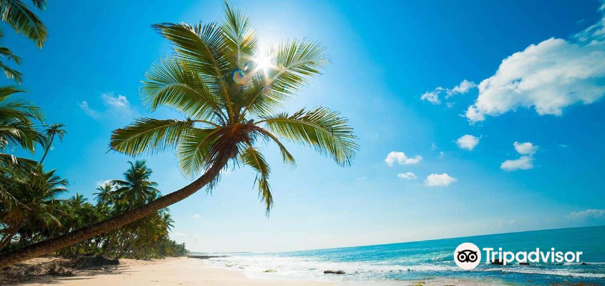 Godagama Travel Guide 2023 - Things to Do, What To Eat & Tips | Trip.com