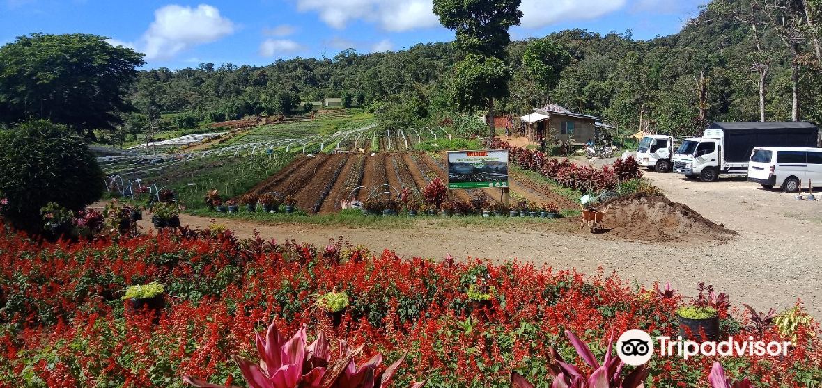 Marilog Travel Guide 2023 - Things to Do, What To Eat & Tips | Trip.com