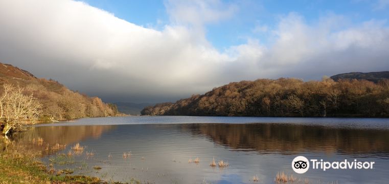 กิจกรรมน่าทำยอดนิยมในBrithdir and Llanfachrethประจำปี 2022 - คู่มือท่อง ...