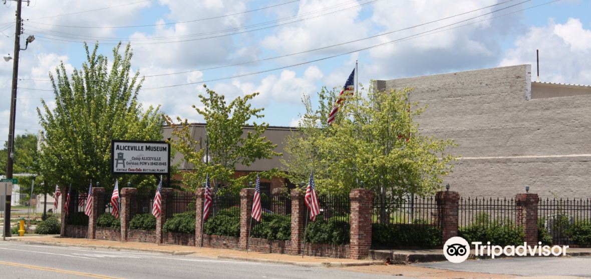 Aliceville Travel Guide 2024 - Things to Do, What To Eat & Tips | Trip.com