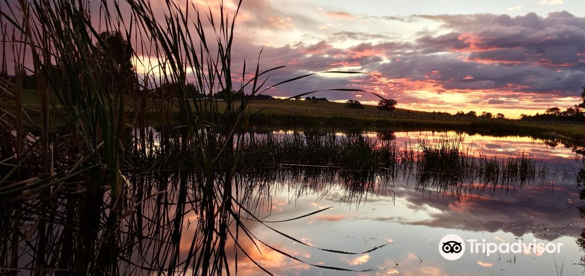 Top-Aktivitäten in Lovedale 2023 – Reiseführer für Lovedale – Top ...