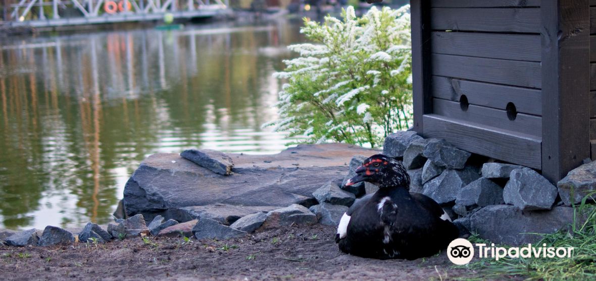 Sanatoriy Snezhka Travel Guide 2024 - Things to Do, What To Eat & Tips ...