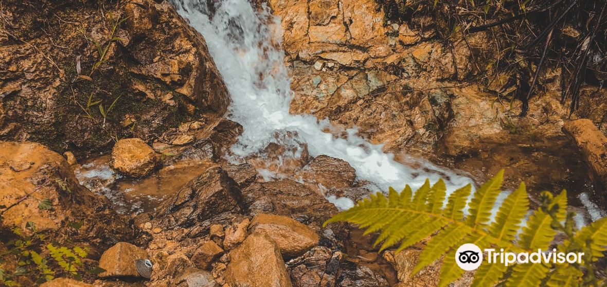 Palauig Travel Guide 2023 - Things to Do, What To Eat & Tips | Trip.com