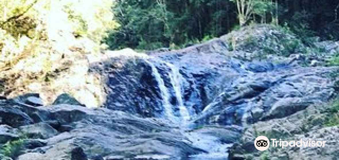 Gaythorne Travel Guide 2024 - Things to Do, What To Eat & Tips | Trip.com