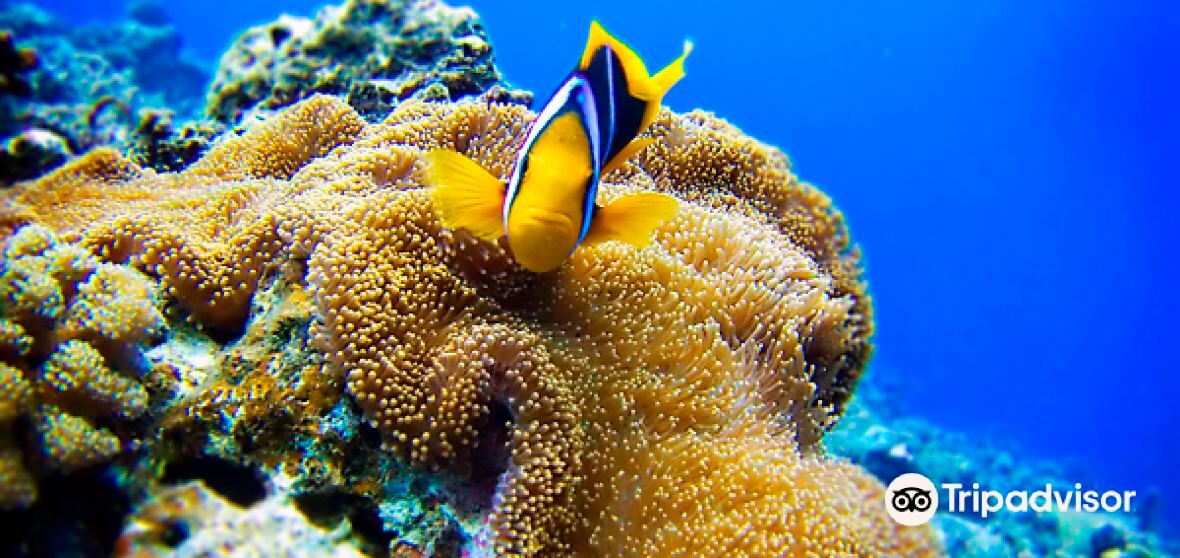 กิจกรรมน่าทำยอดนิยมในNaidiประจำปี 2023 - คู่มือท่องเที่ยวNaidi - แนะนำ ...