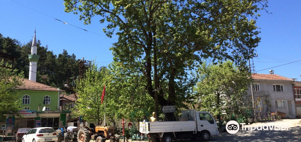 2023年Guzelyali Burgaz Mahallesiの人気観光スポット - Guzelyali Burgaz Mahallesiの ...