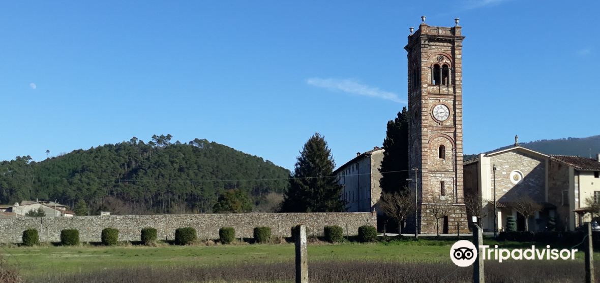 Bientina 2022 Top Things to Do - Bientina Travel Guides - Top ...