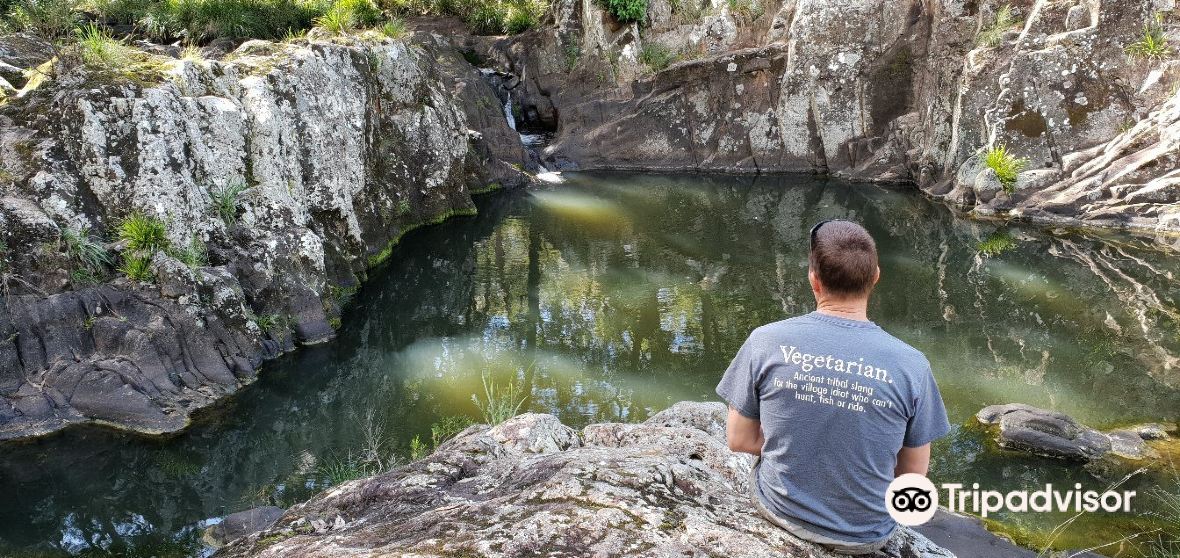 Kyogle Travel Guide 2023 - Things to Do, What To Eat & Tips | Trip.com