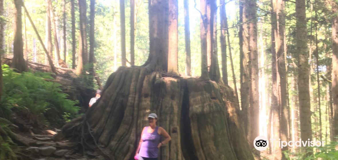 Verlot Travel Guide 2023 - Things to Do, What To Eat & Tips | Trip.com