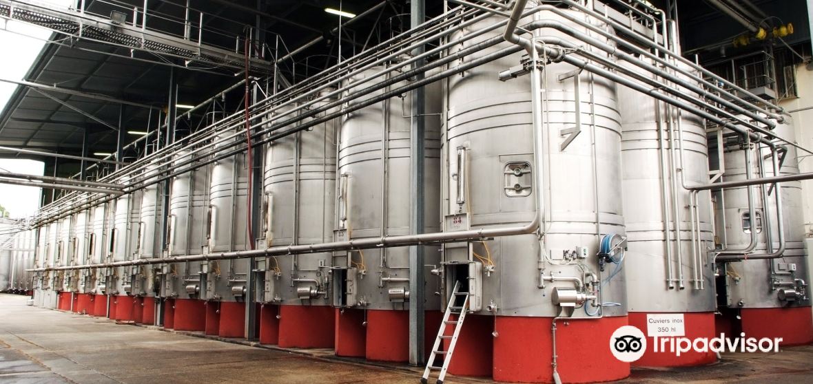 Lugon-et-l'Ile-du-Carnay Travel Guide 2023 - Things to Do, What To Eat ...