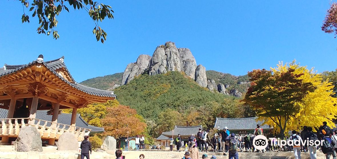 Cheongsong-gun Travel Guide 2023 - Things to Do, What To Eat & Tips ...