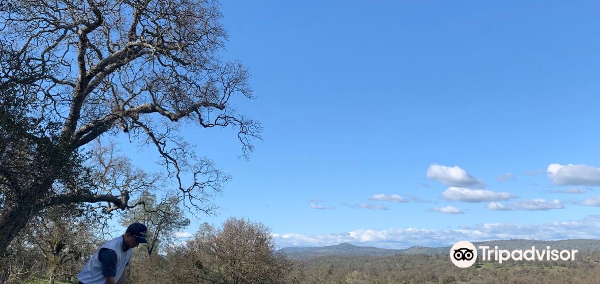 Copperopolis Travel Guide 2023 - Things to Do, What To Eat & Tips ...