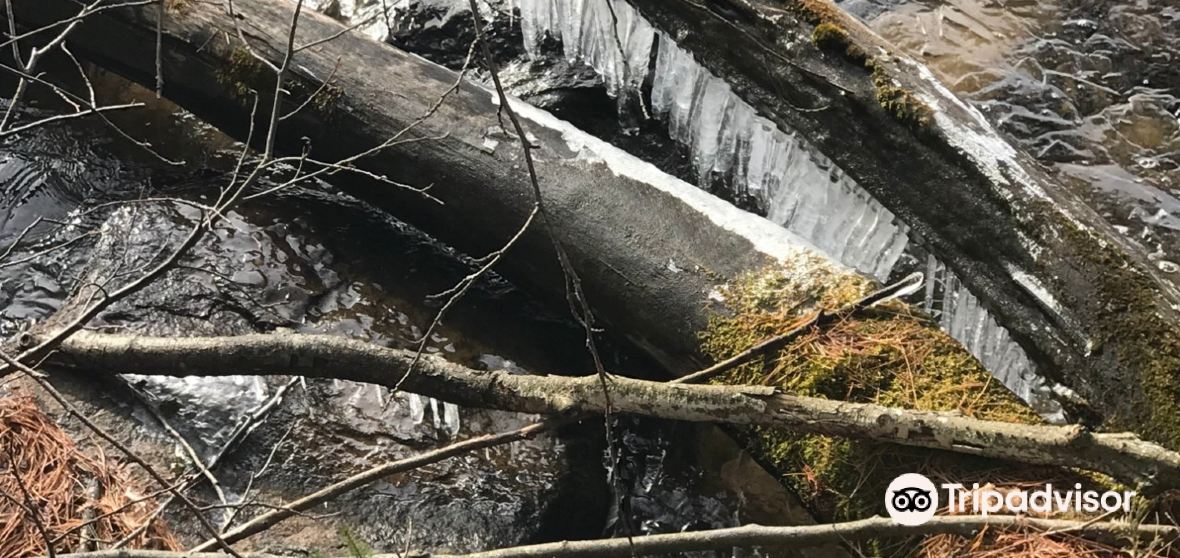 Plum Lake Travel Guide 2024 - Things to Do, What To Eat & Tips | Trip.com