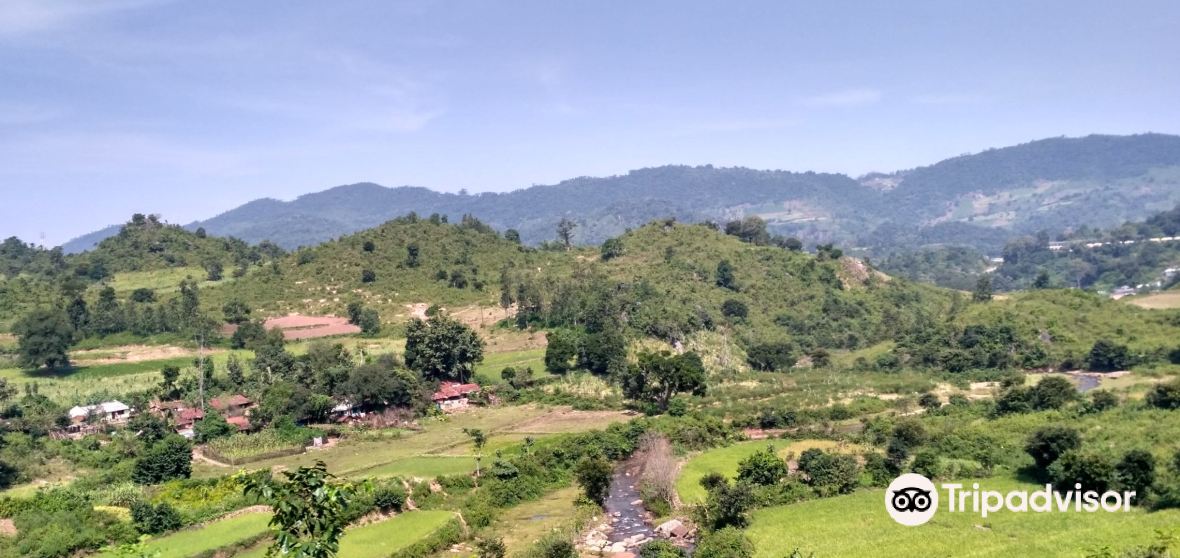 Araku 2023 Top Things to Do - Araku Travel Guides - Top Recommended ...