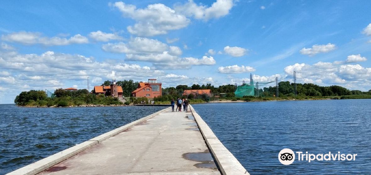 กิจกรรมน่าทำยอดนิยมในMinijaประจำปี 2023 - คู่มือท่องเที่ยวMinija ...