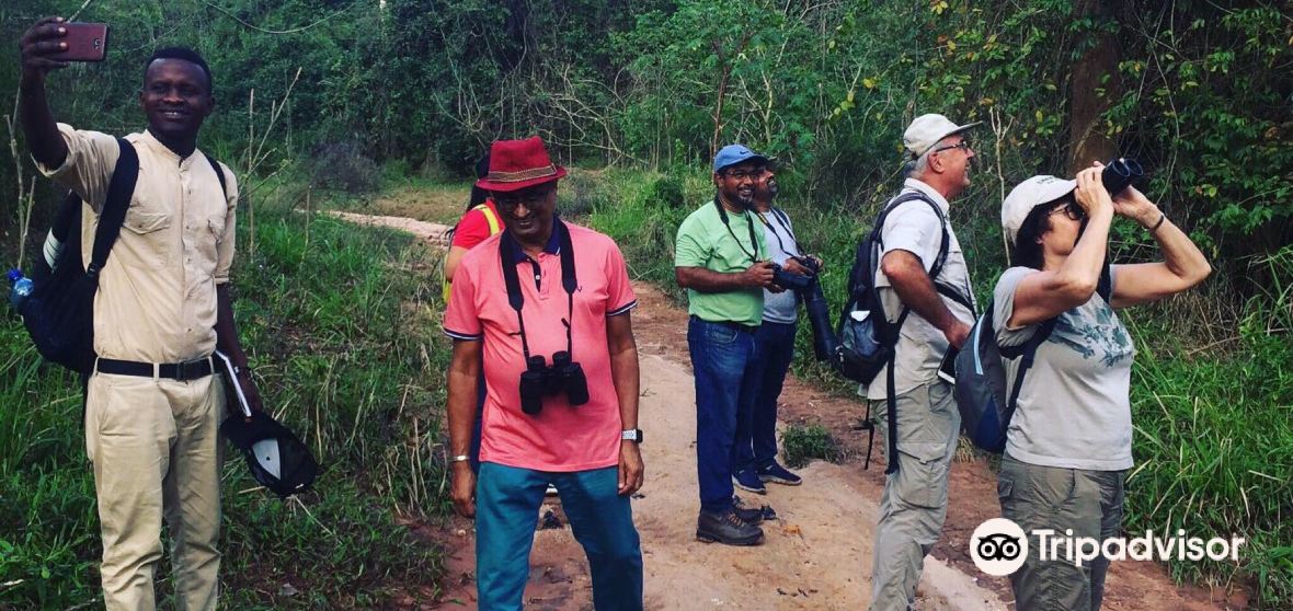 Mkuranga Travel Guide 2023 - Things to Do, What To Eat & Tips | Trip.com