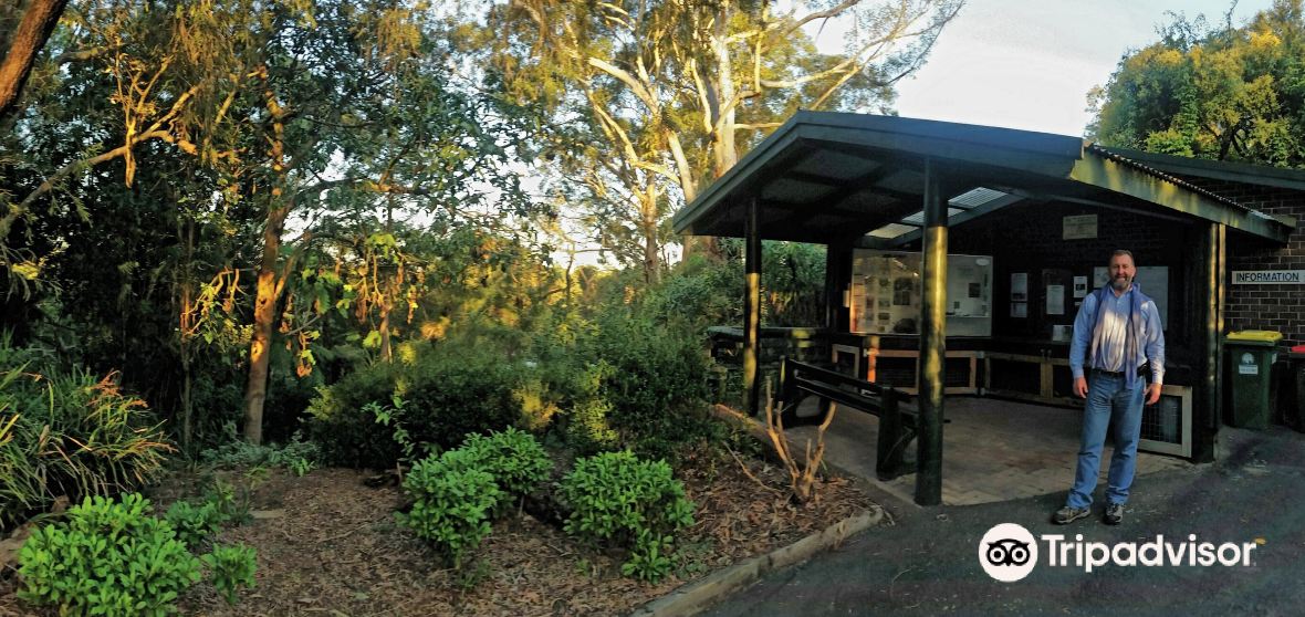 กิจกรรมน่าทำยอดนิยมในKareelaประจำปี 2023 - คู่มือท่องเที่ยวKareela ...