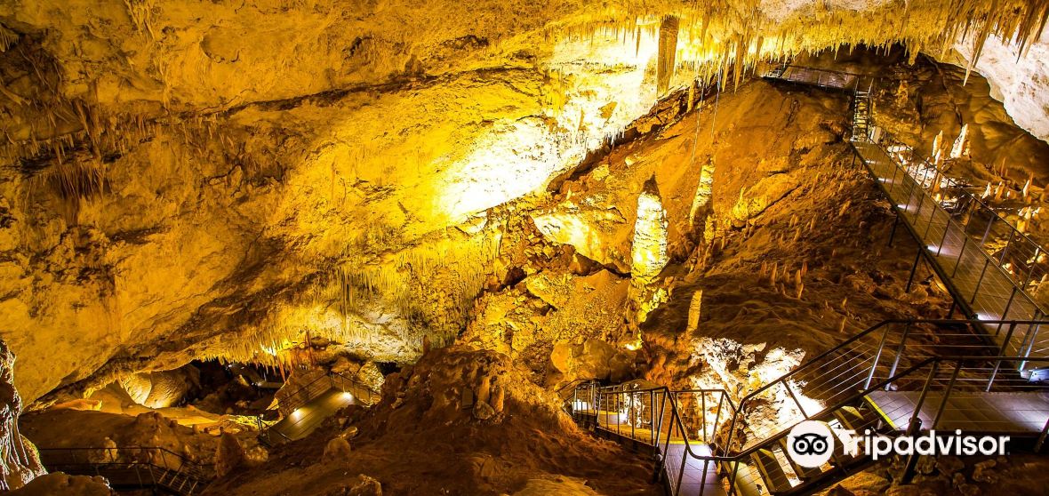 Deepdene 2024 인기 명소 - Deepdene 트립 가이드 - Deepdene 인기 명소 입장권 추천, 호텔, 가 볼 ...