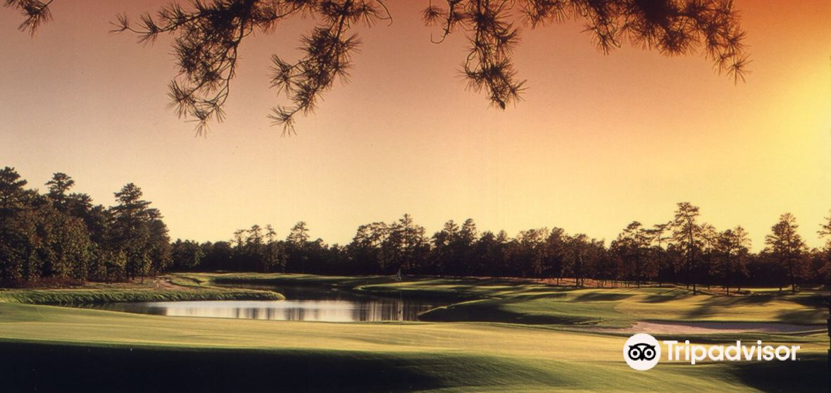 กิจกรรมน่าทำยอดนิยมในEgg Harbor Townshipประจำปี 2023 - คู่มือท่องเที่ยว ...