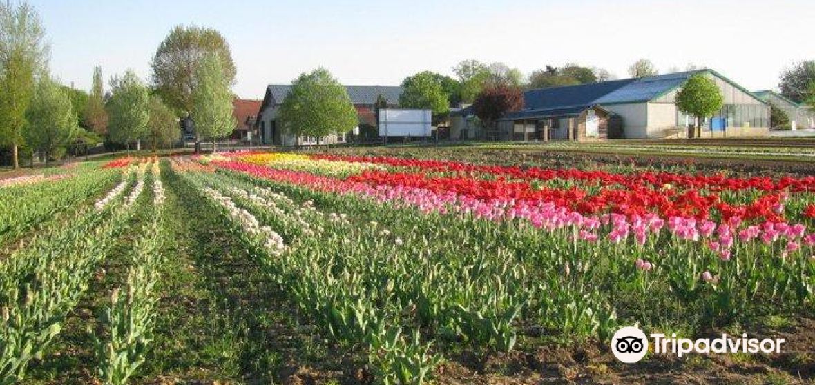 Gressy Travel Guide 2023 - Things to Do, What To Eat & Tips | Trip.com