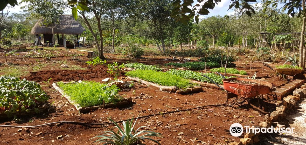 Chemax 2023 Top Things to Do - Chemax Travel Guides - Top Recommended ...