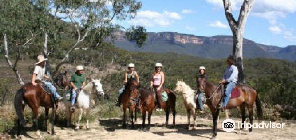 【2023Megalong Valley自由行】Megalong Valley旅遊攻略：熱門推薦Megalong Valley景點門票、飯店與 ...