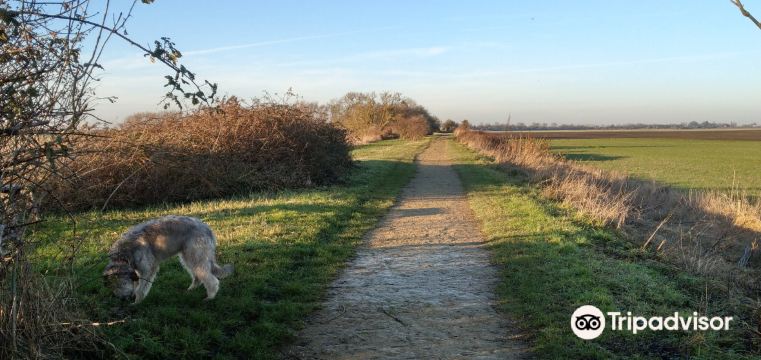 กิจกรรมน่าทำยอดนิยมในFriday Bridgeประจำปี 2022 - คู่มือท่องเที่ยวFriday ...