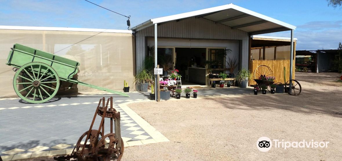 Port Paterson Travel Guide 2023 - Things to Do, What To Eat & Tips ...