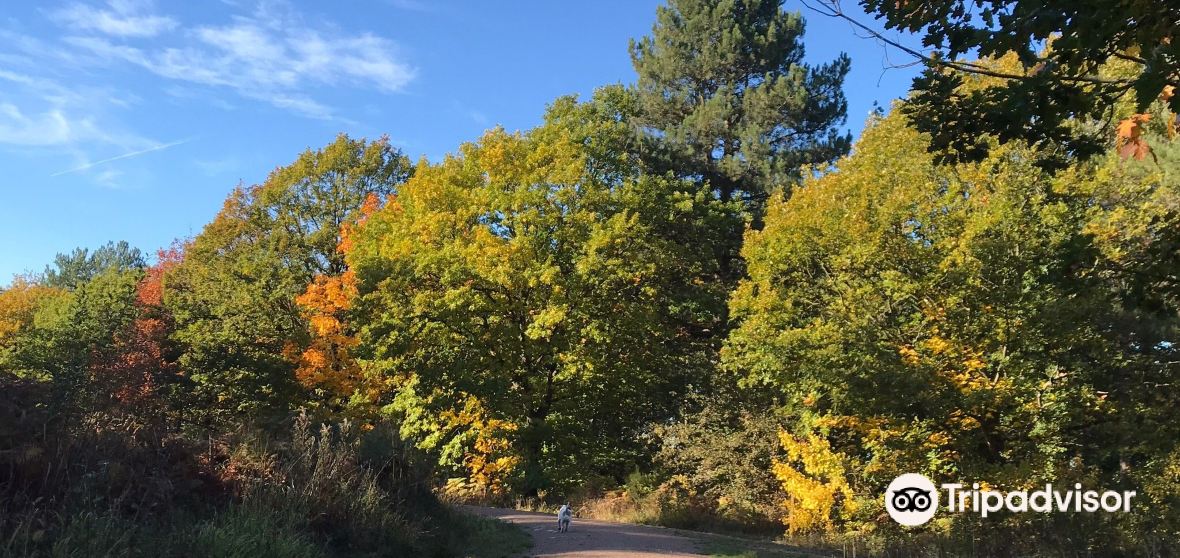 Chestfield 2023 Top Things to Do - Chestfield Travel Guides - Top ...