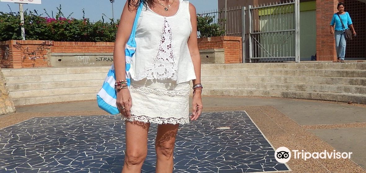 กิจกรรมน่าทำยอดนิยมในPunta Cardonประจำปี 2023 - คู่มือท่องเที่ยวPunta ...