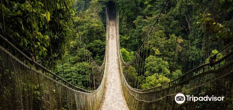 กิจกรรมน่าทำยอดนิยมในKadudampitประจำปี 2023 - คู่มือท่องเที่ยว ...