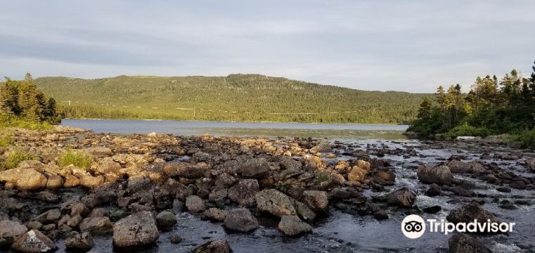 Whiteway Travel Guide 2023 - Things to Do, What To Eat & Tips | Trip.com