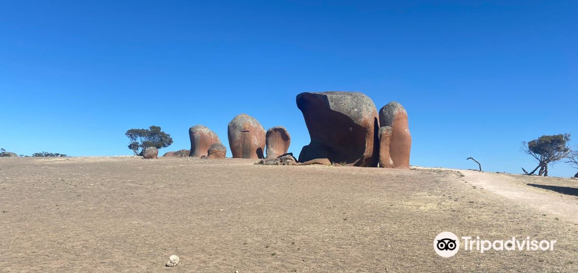 กิจกรรมน่าทำยอดนิยมในMortanaประจำปี 2022 - คู่มือท่องเที่ยวMortana ...