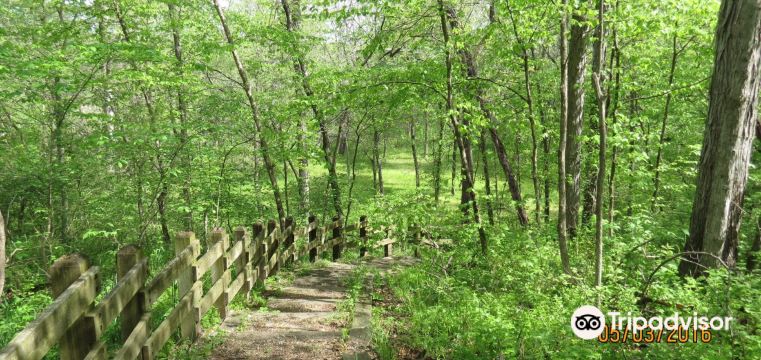 Sugartree Township Travel Guide 2023 - Things to Do, What To Eat & Tips ...