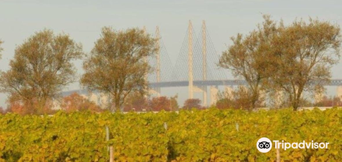 กิจกรรมน่าทำยอดนิยมในKlagshamnประจำปี 2023 - คู่มือท่องเที่ยวKlagshamn ...