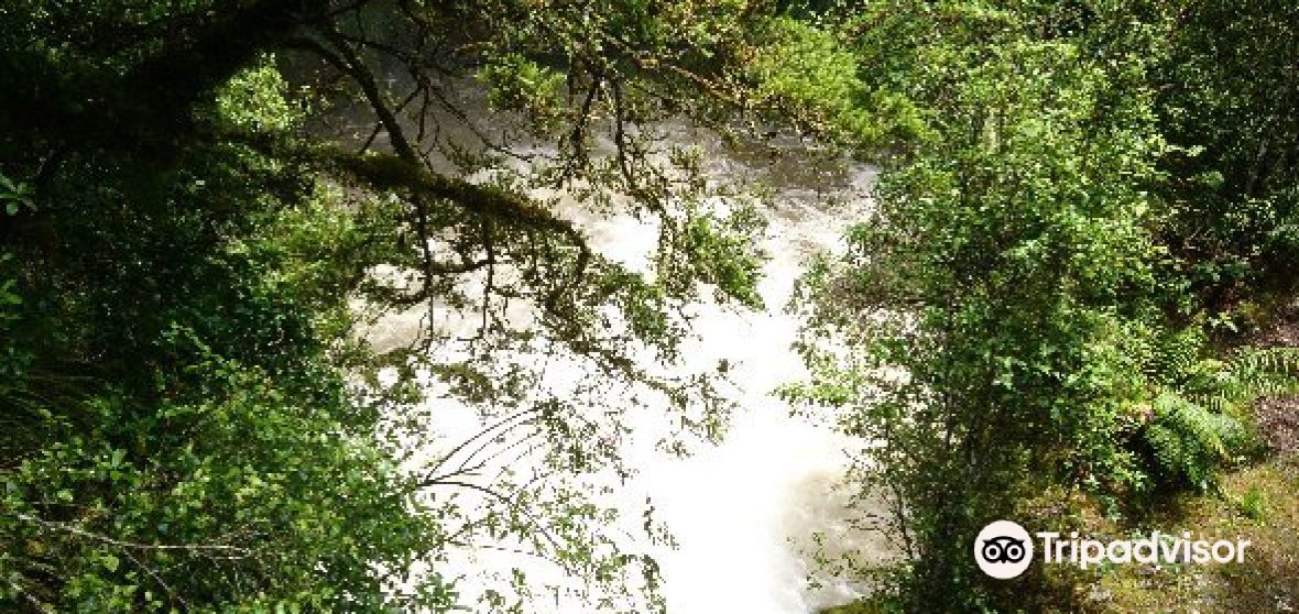 กิจกรรมน่าทำยอดนิยมในMinginuiประจำปี 2023 - คู่มือท่องเที่ยวMinginui ...