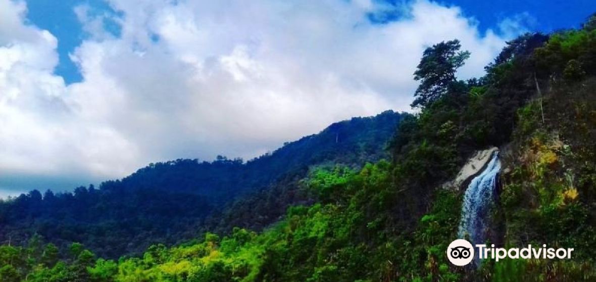 Cibinong Travel Guide 2023 - Things to Do, What To Eat & Tips | Trip.com