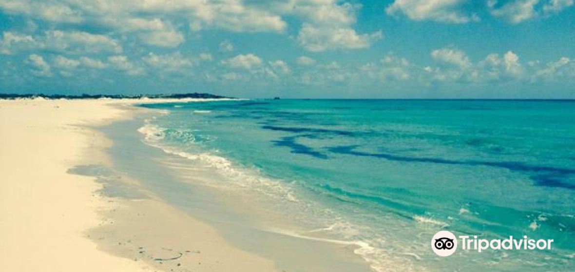 Kelibia Travel Guide 2024 - Things to Do, What To Eat & Tips | Trip.com