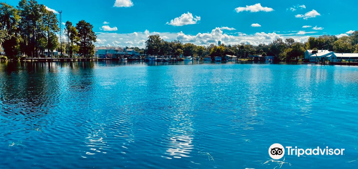 Crystal River Travel Guide 2023 - Things to Do, What To Eat & Tips ...