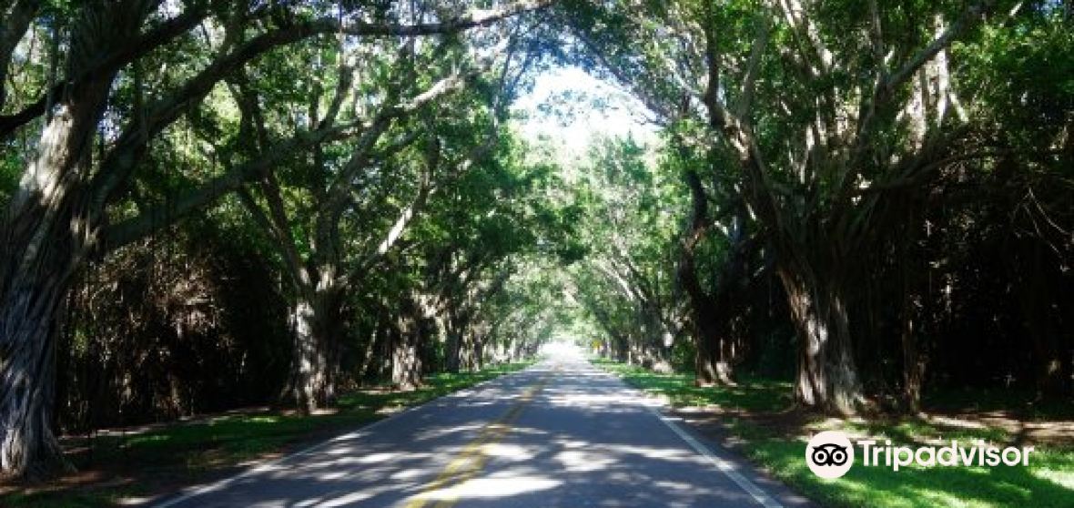 Hobe Sound 2023 Top Things to Do - Hobe Sound Travel Guides - Top ...